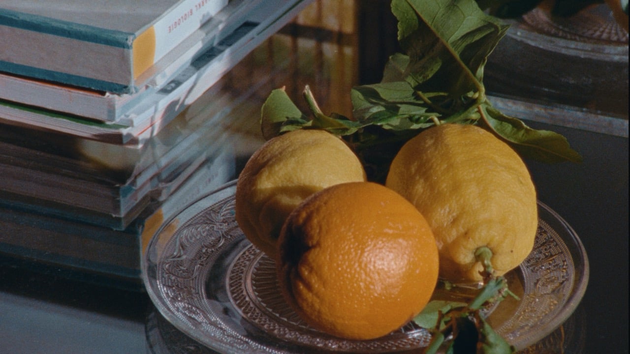 Color Grading und Color Correction. | urbanuncut.